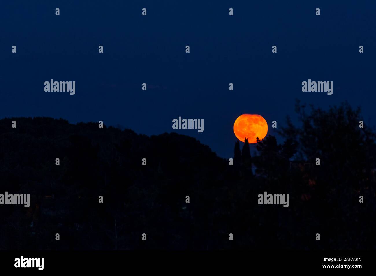 A beautiful full red moon rises from behind a hill with trees Stock ...