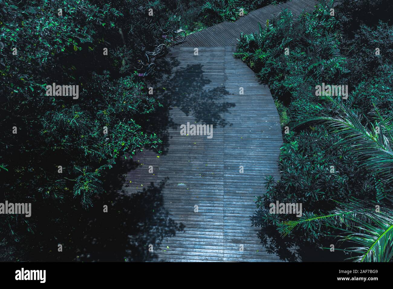 Moody green of wooden bridge in the forest ,top view Stock Photo - Alamy