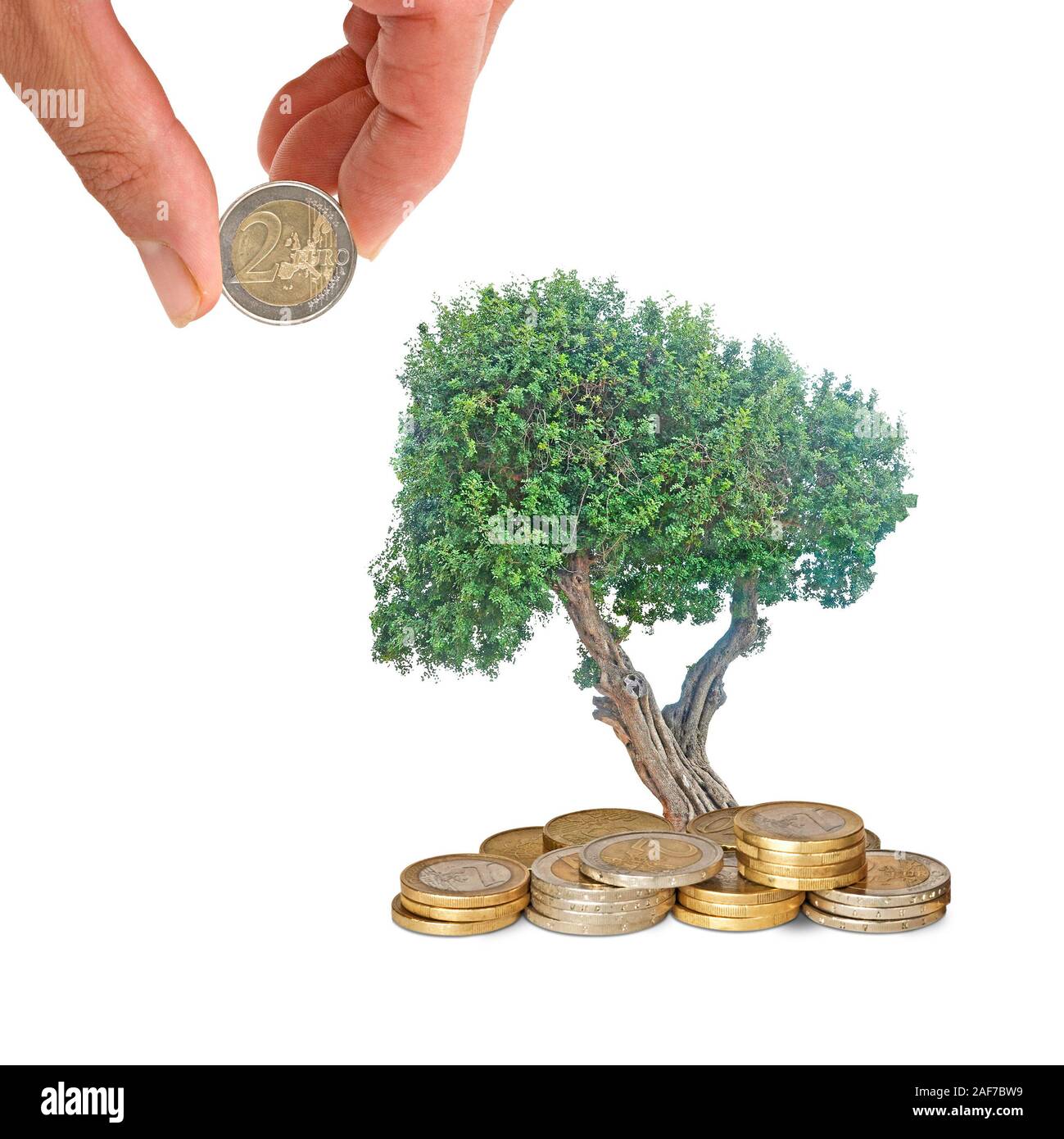 tree growing from coins Stock Photo - Alamy