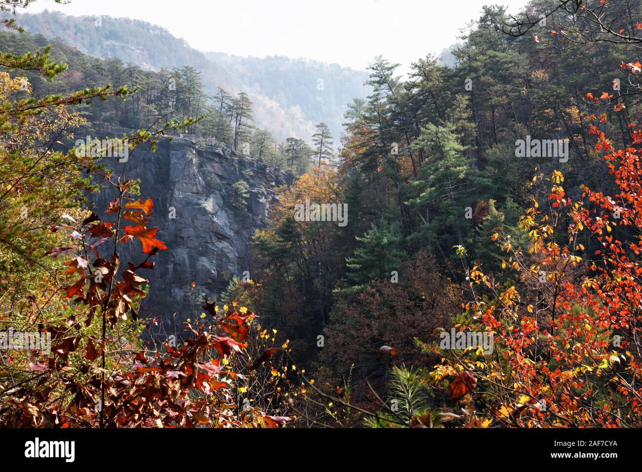 Blue Ridge Mountain range of the Appalachian Mountains in Tallulah ...