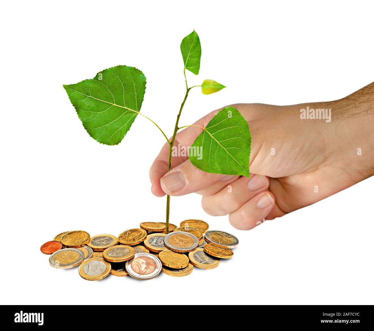 Planting a sapling Stock Photo - Alamy