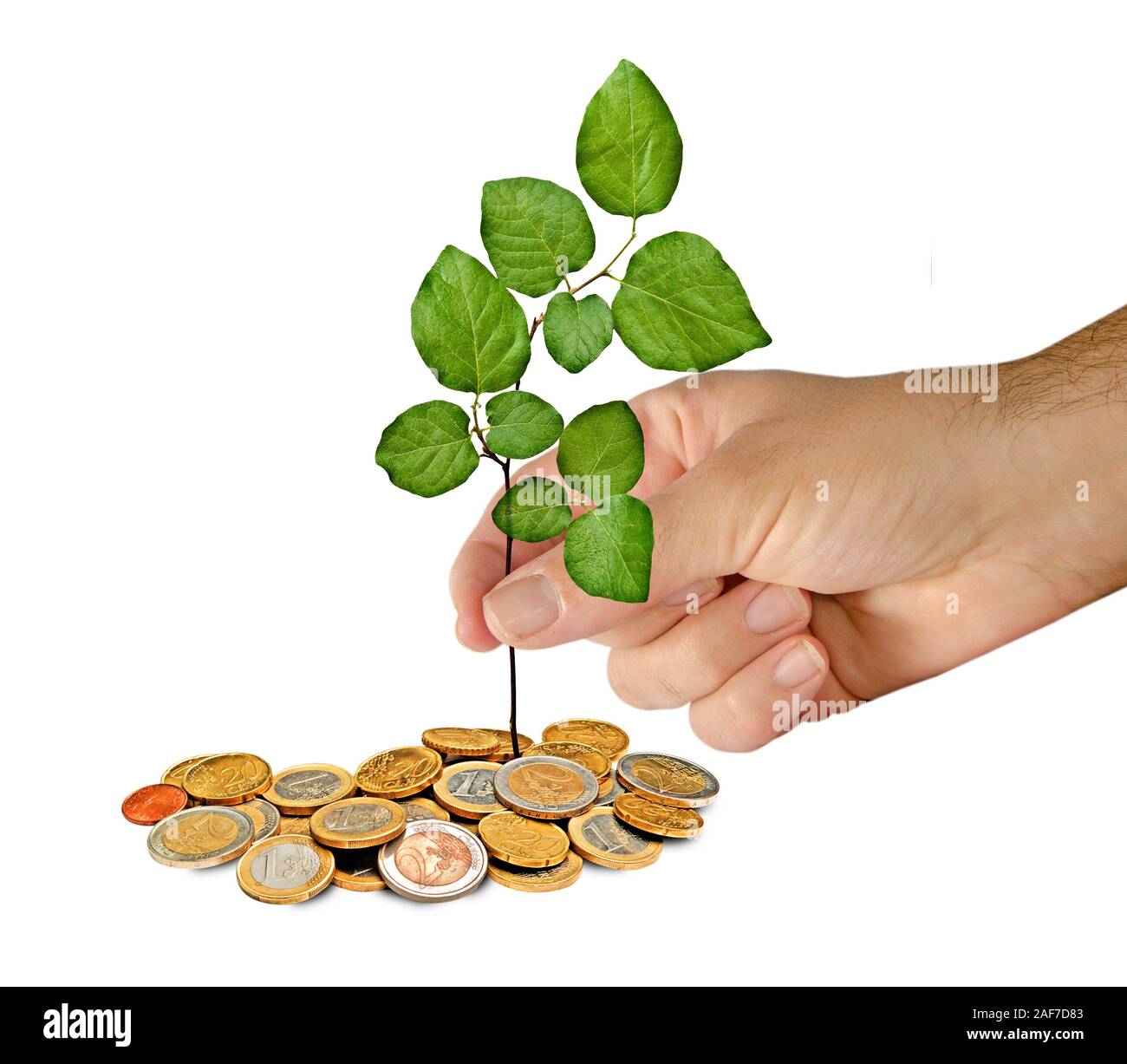 Planting a sapling Stock Photo - Alamy