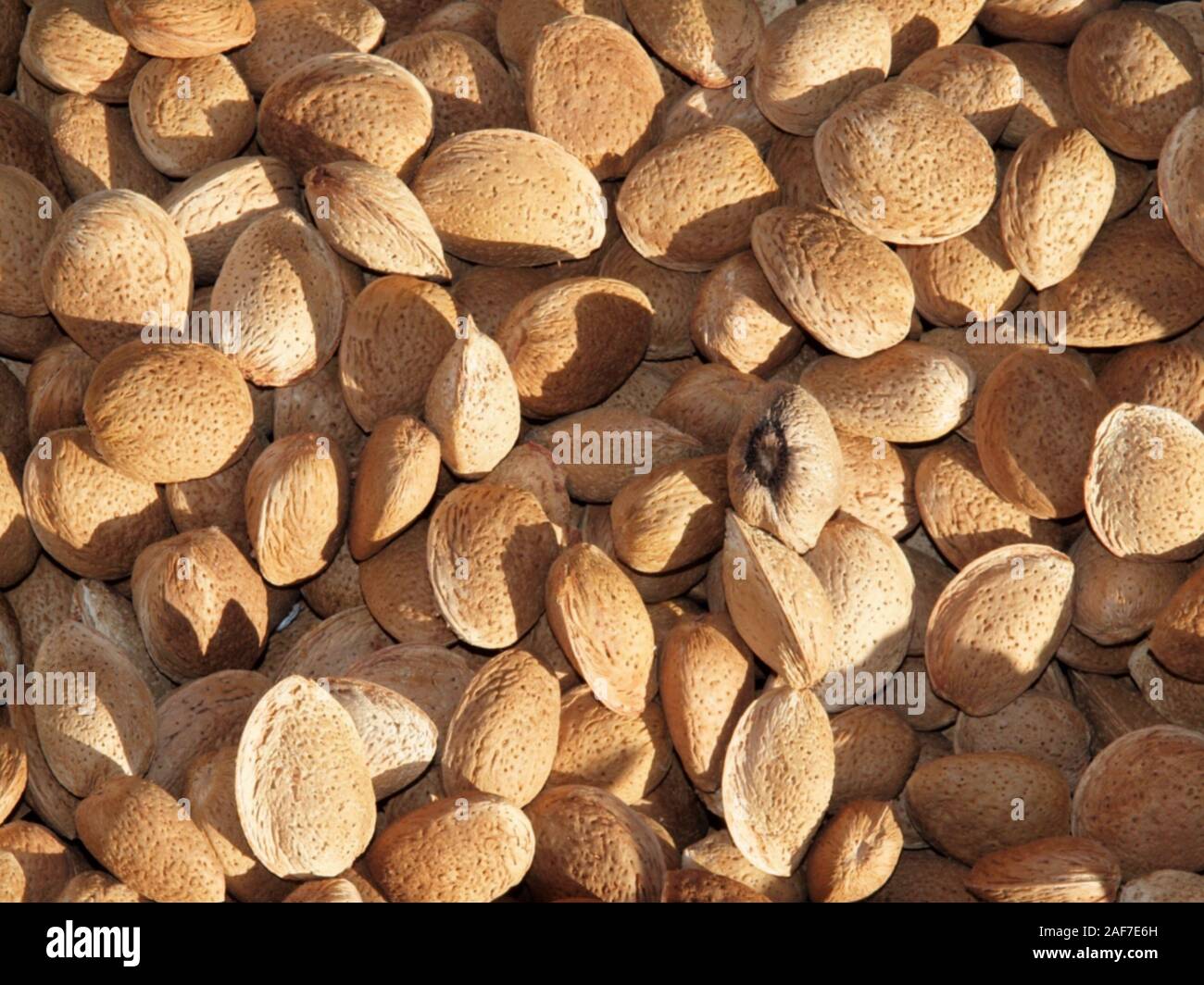 Macro of fresh almonds in shells at a food market Stock Photo - Alamy