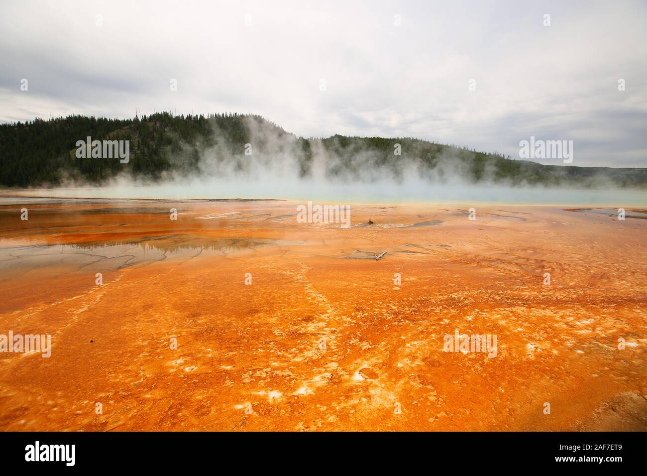 The Grand Prismatic Spring in Yellowstone Stock Photo - Alamy