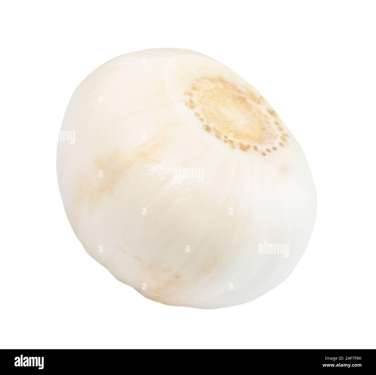 peeled bulb of chinese Solo garlic isolated on white background Stock ...