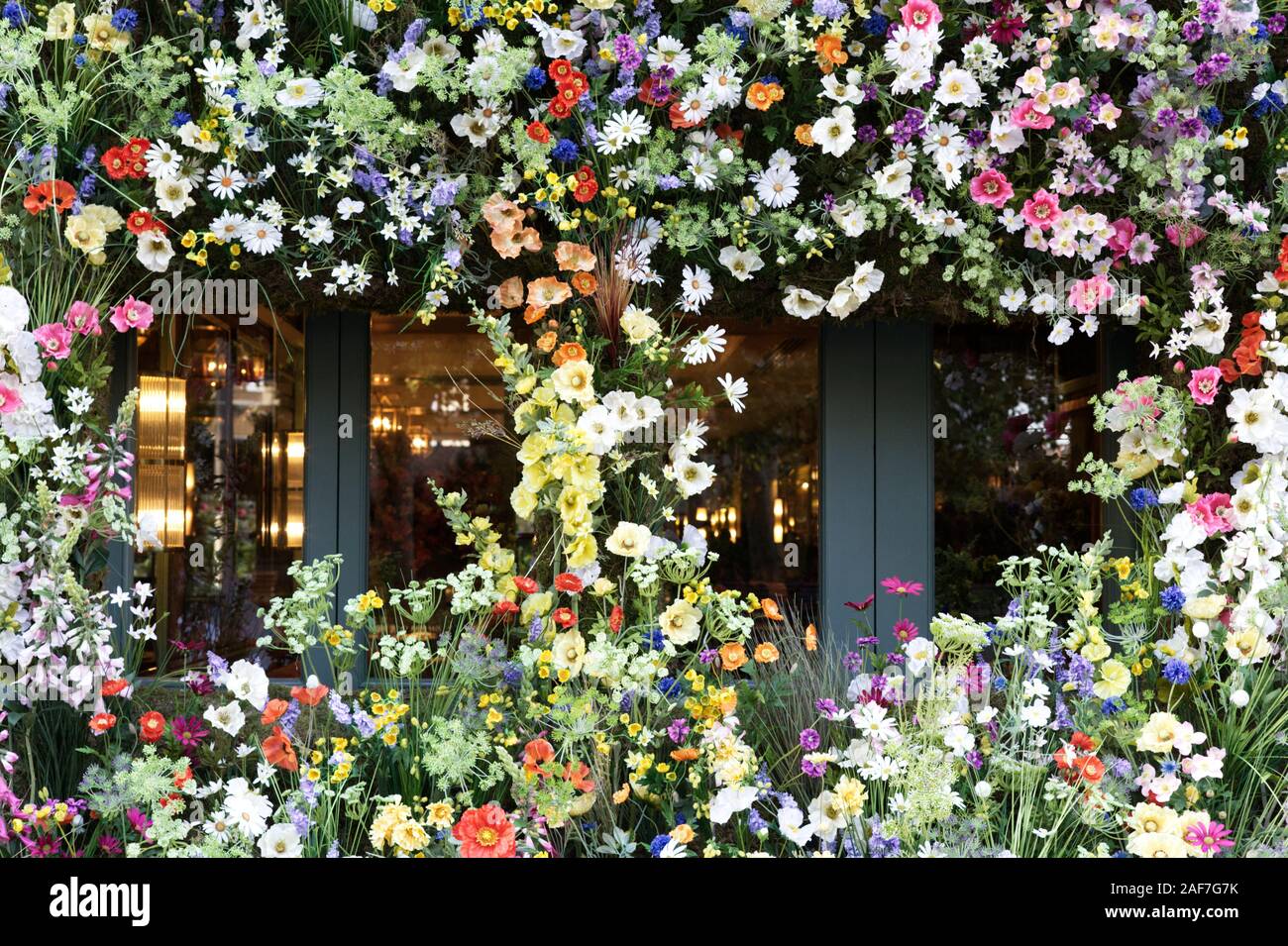 wild flower, floral display Chelsea Stock Photo - Alamy