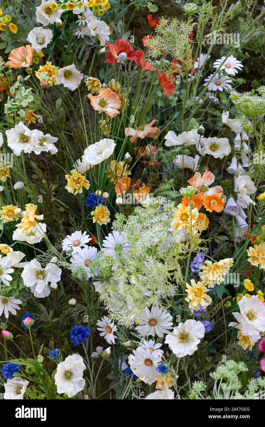 Floral display chelsea hi-res stock photography and images - Alamy