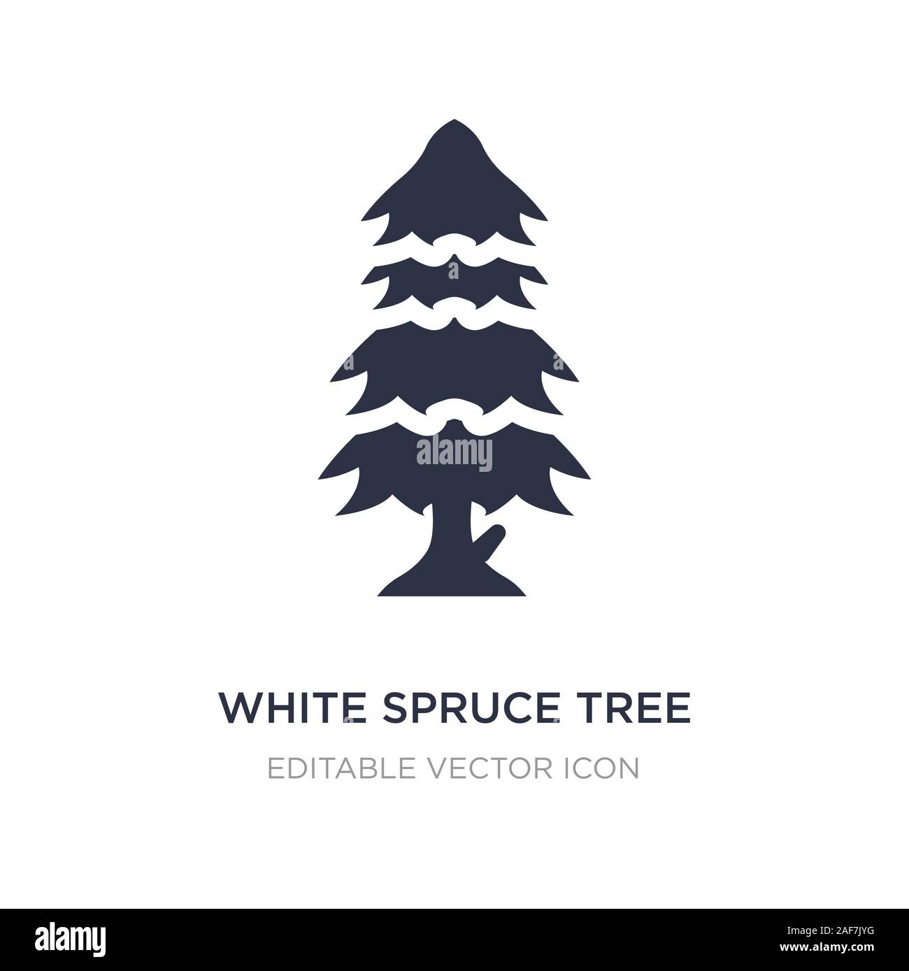white spruce tree icon on white background. Simple element illustration ...