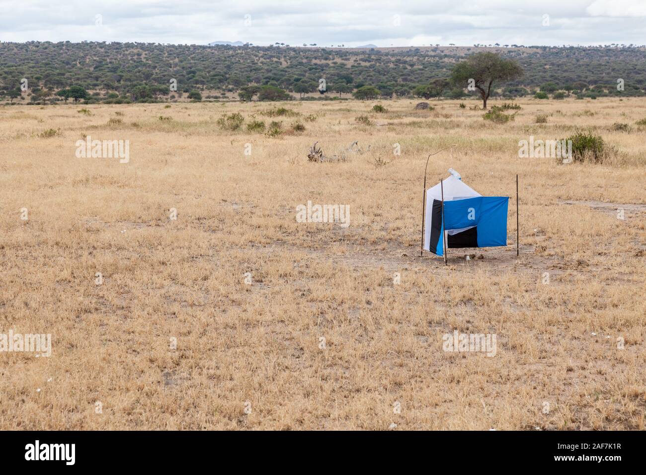 Tanzania. Tarangire National Park. Tsetse Fly Traps. Flies are ...