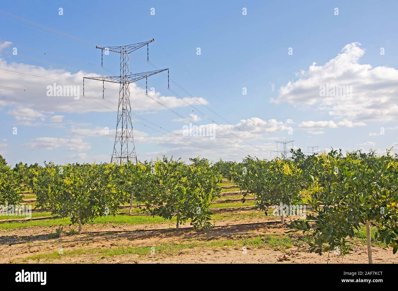 Orhard hi-res stock photography and images - Alamy