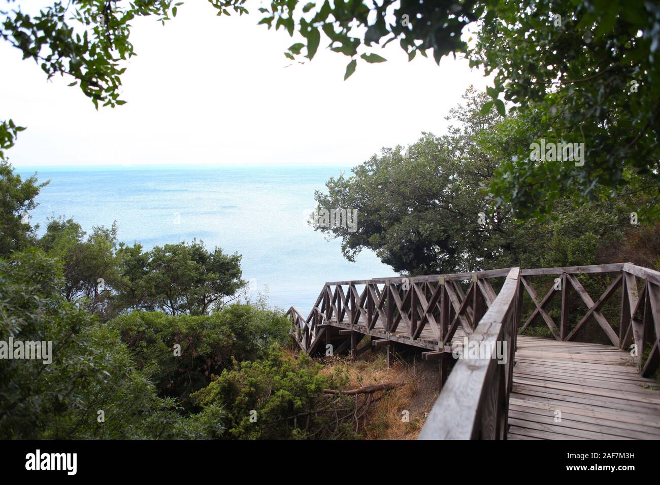 wooden bridge road in a rainforest landscape sea Stock Photo - Alamy