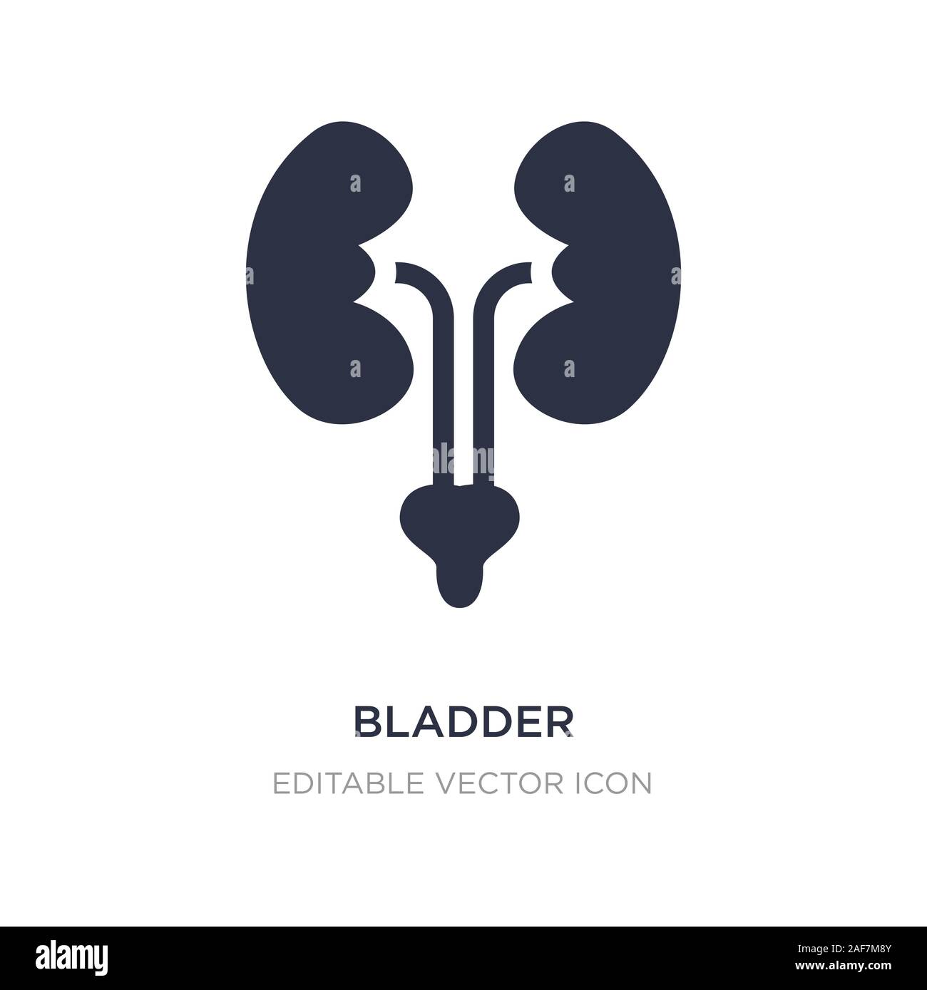 bladder icon on white background. Simple element illustration from ...