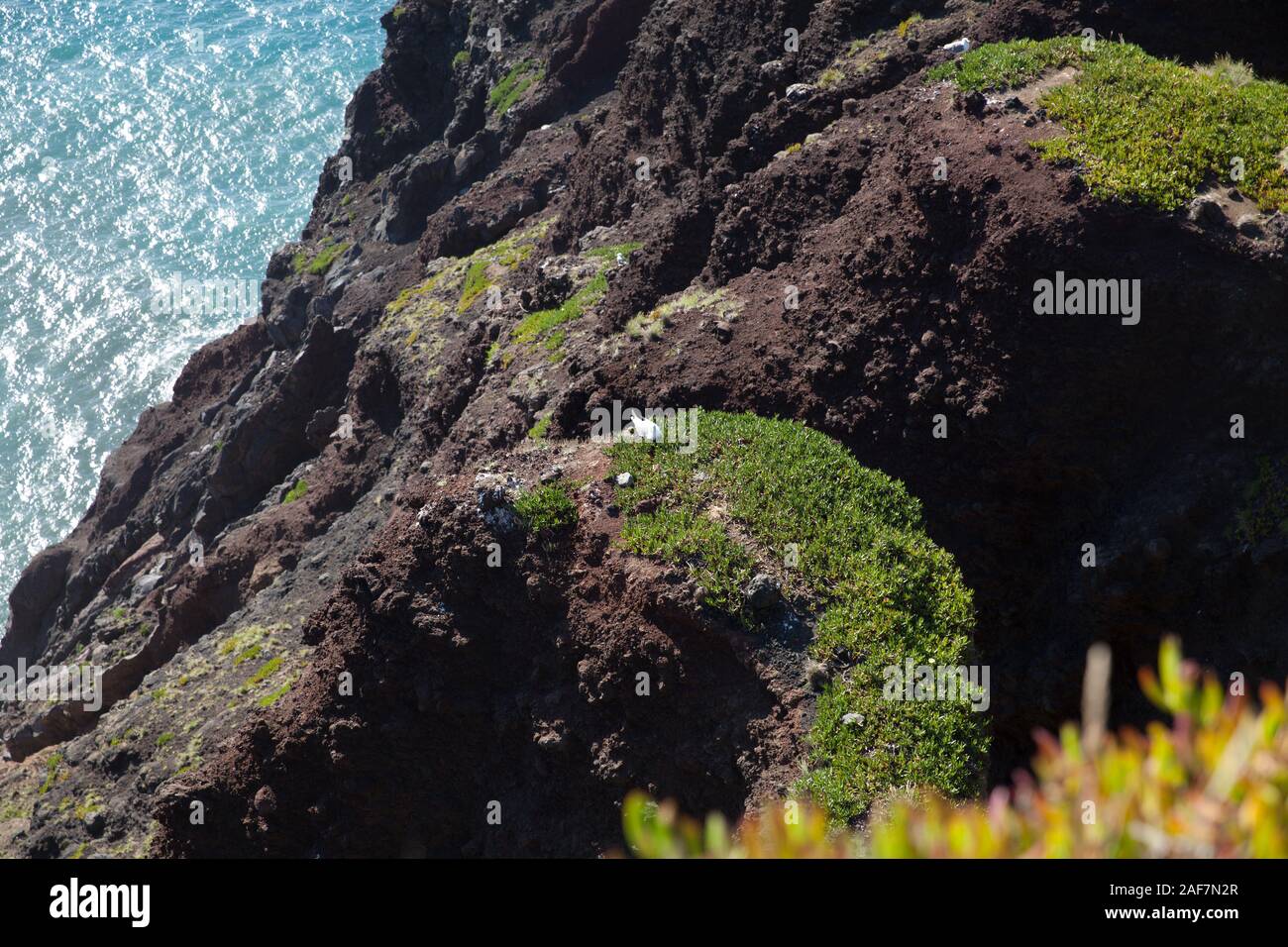 Capelinhos Volcano closeup, Faial Island, Azores Stock Photo - Alamy