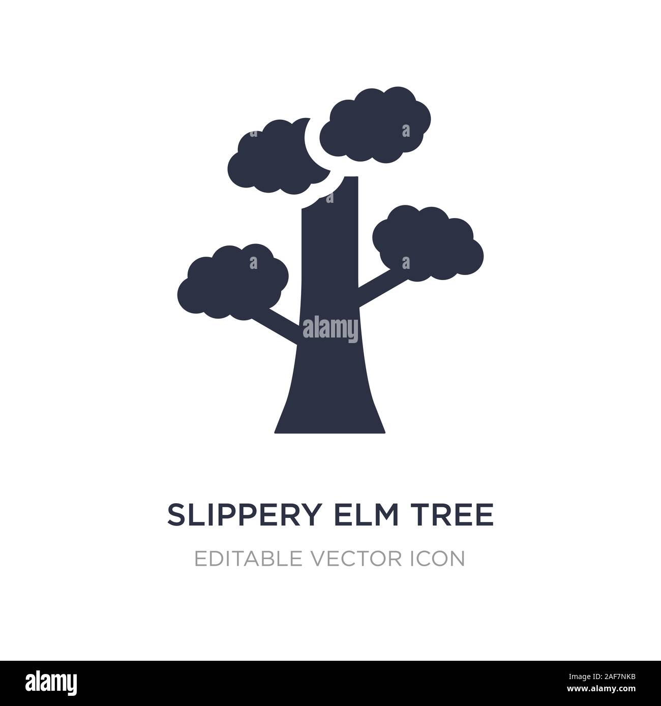 Witch Hazel Tree Silhouette