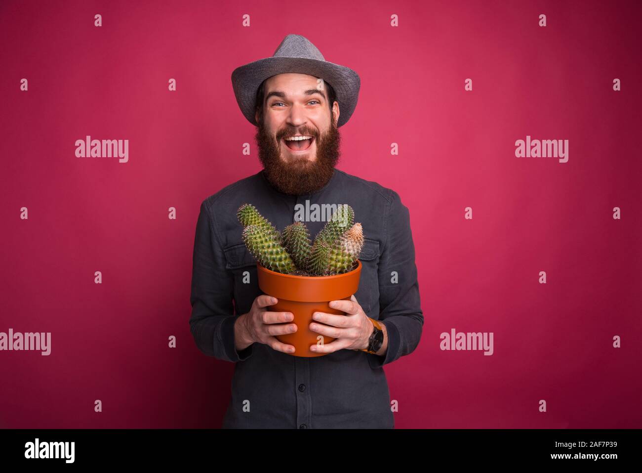 Photo of smiling bearded man holding big cactus plant Stock Photo - Alamy