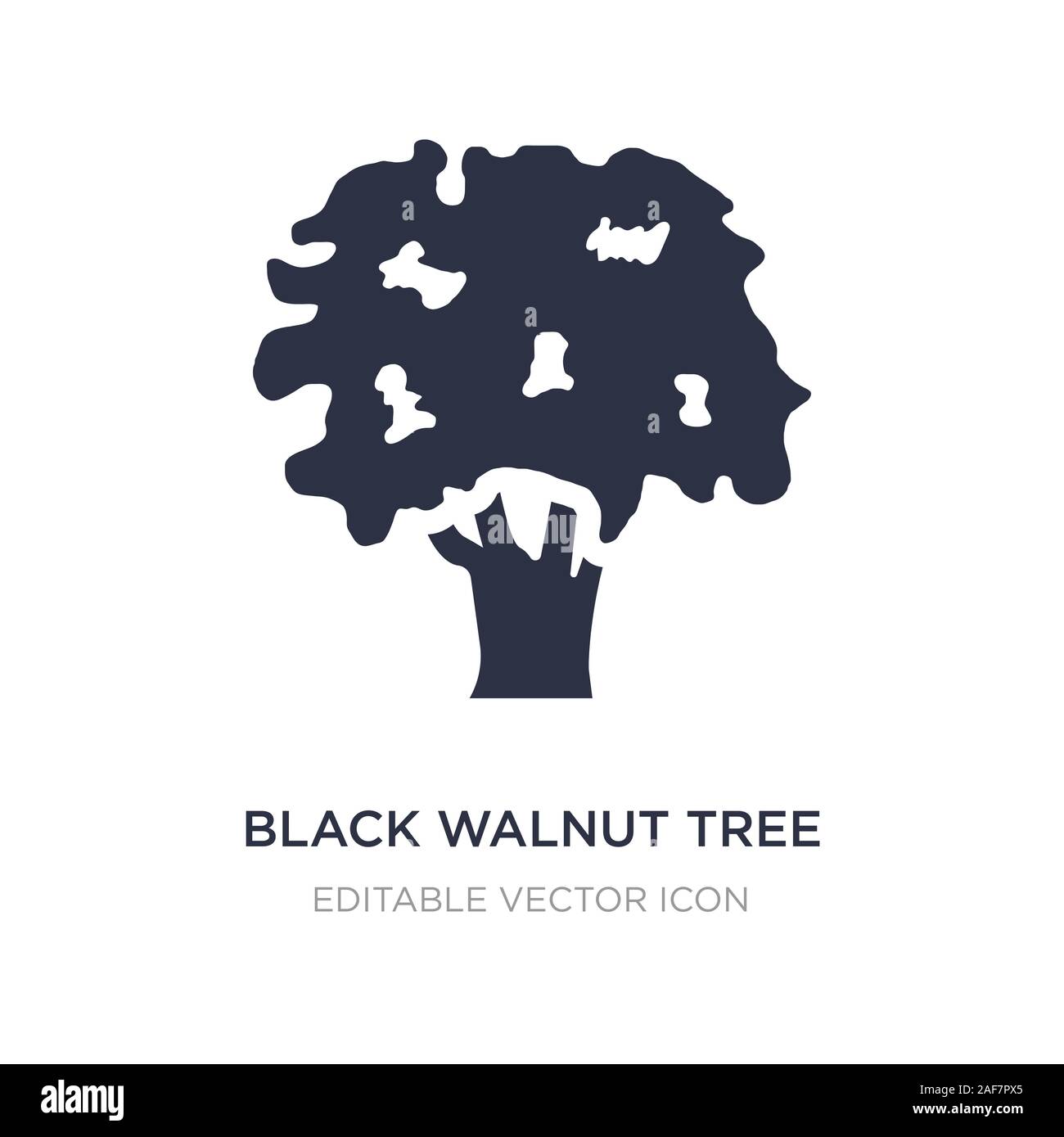black walnut tree icon on white background. Simple element illustration ...