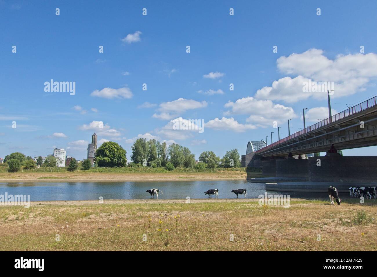 Rhine delta netherlands hi-res stock photography and images - Alamy