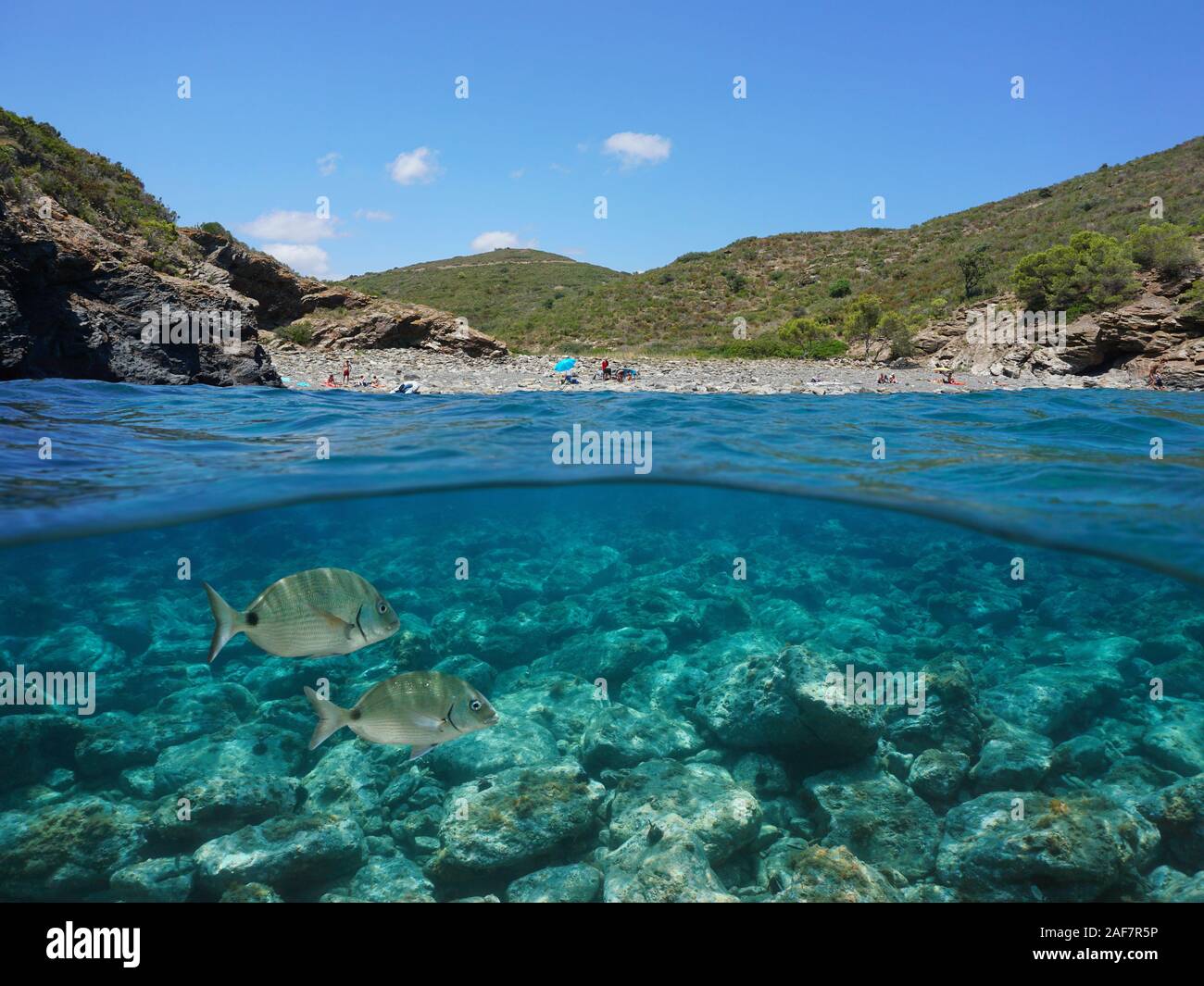 Spain Costa Brava, rocky cove on Mediterranean coast with fish and ...