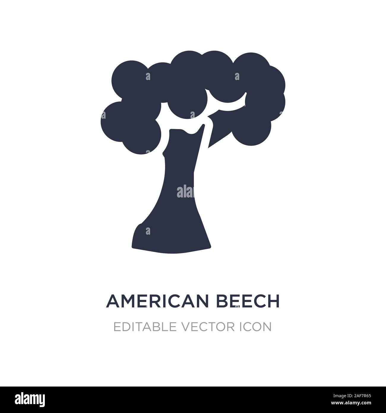 American beech tree Stock Vector Images - Alamy