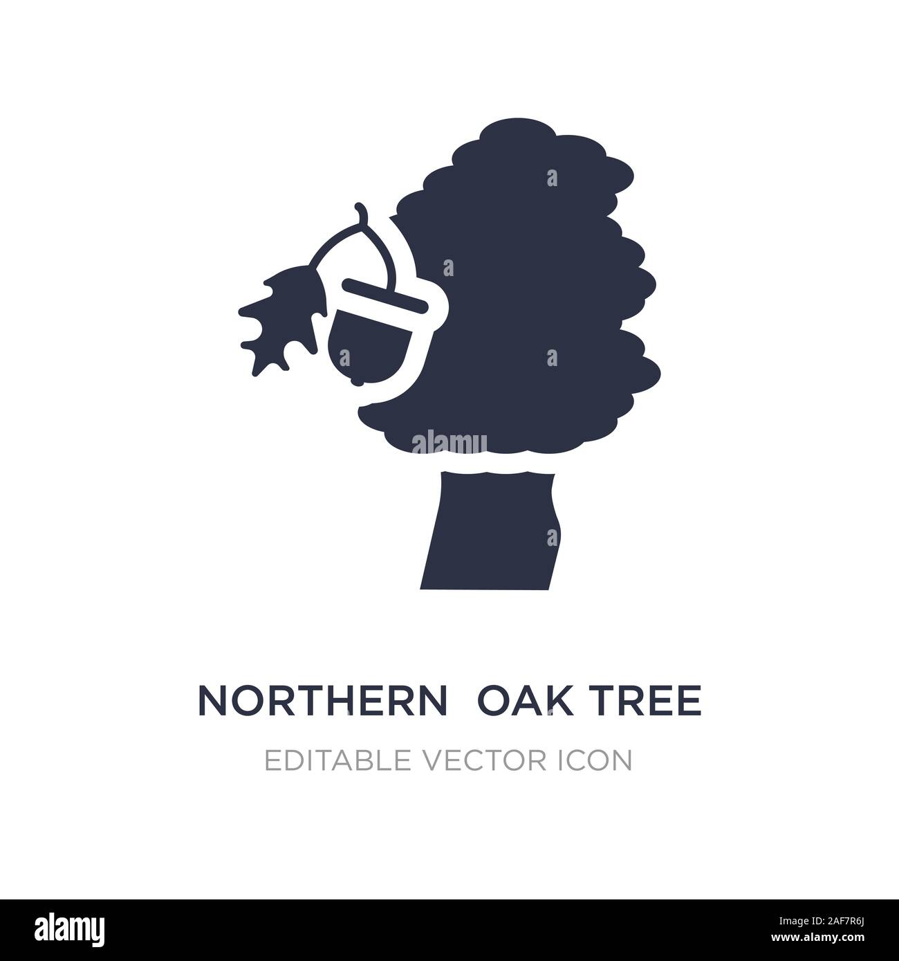 northern oak tree icon on white background. Simple element illustration ...