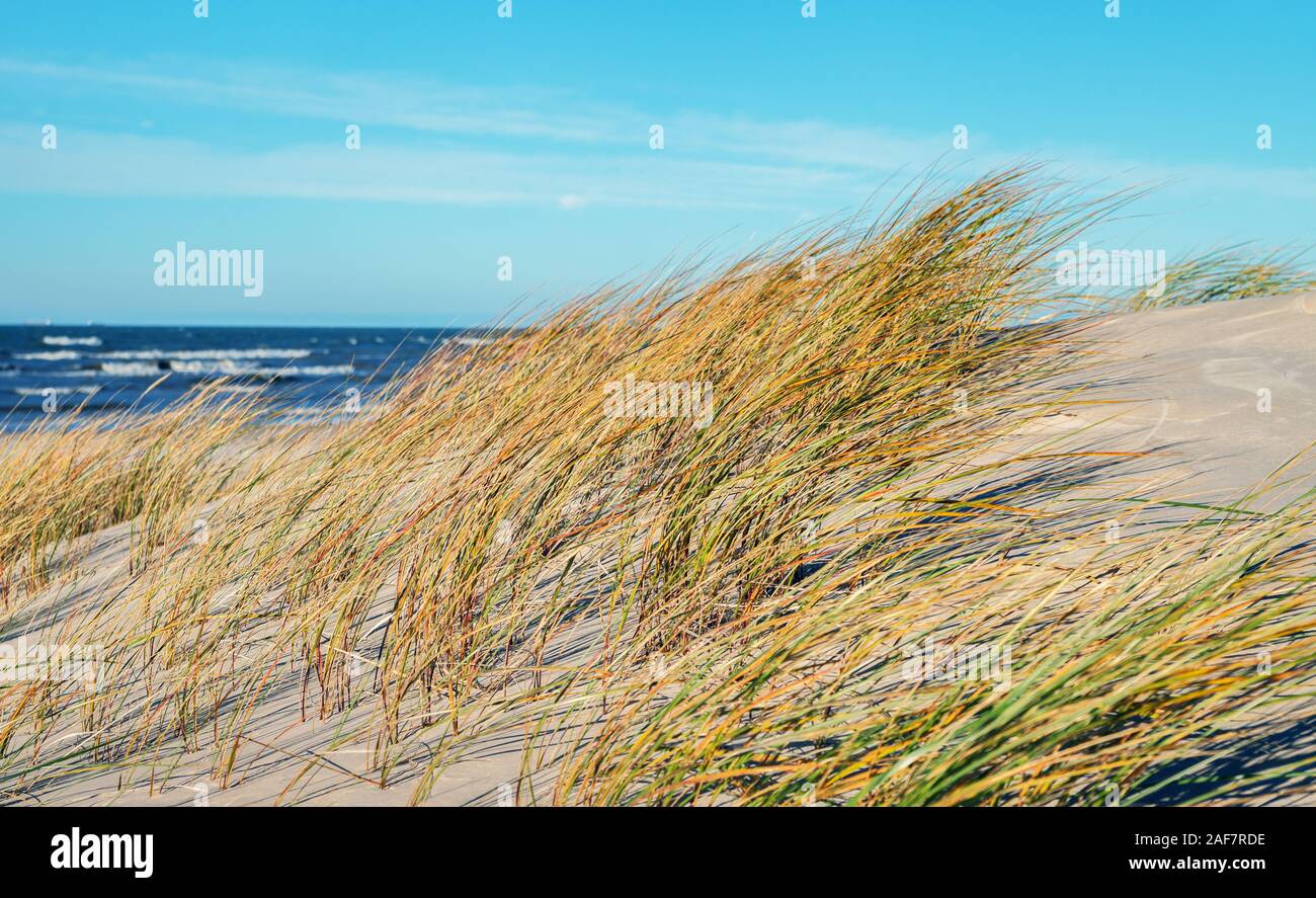 Sunbathing on dry grass hi-res stock photography and images - Alamy