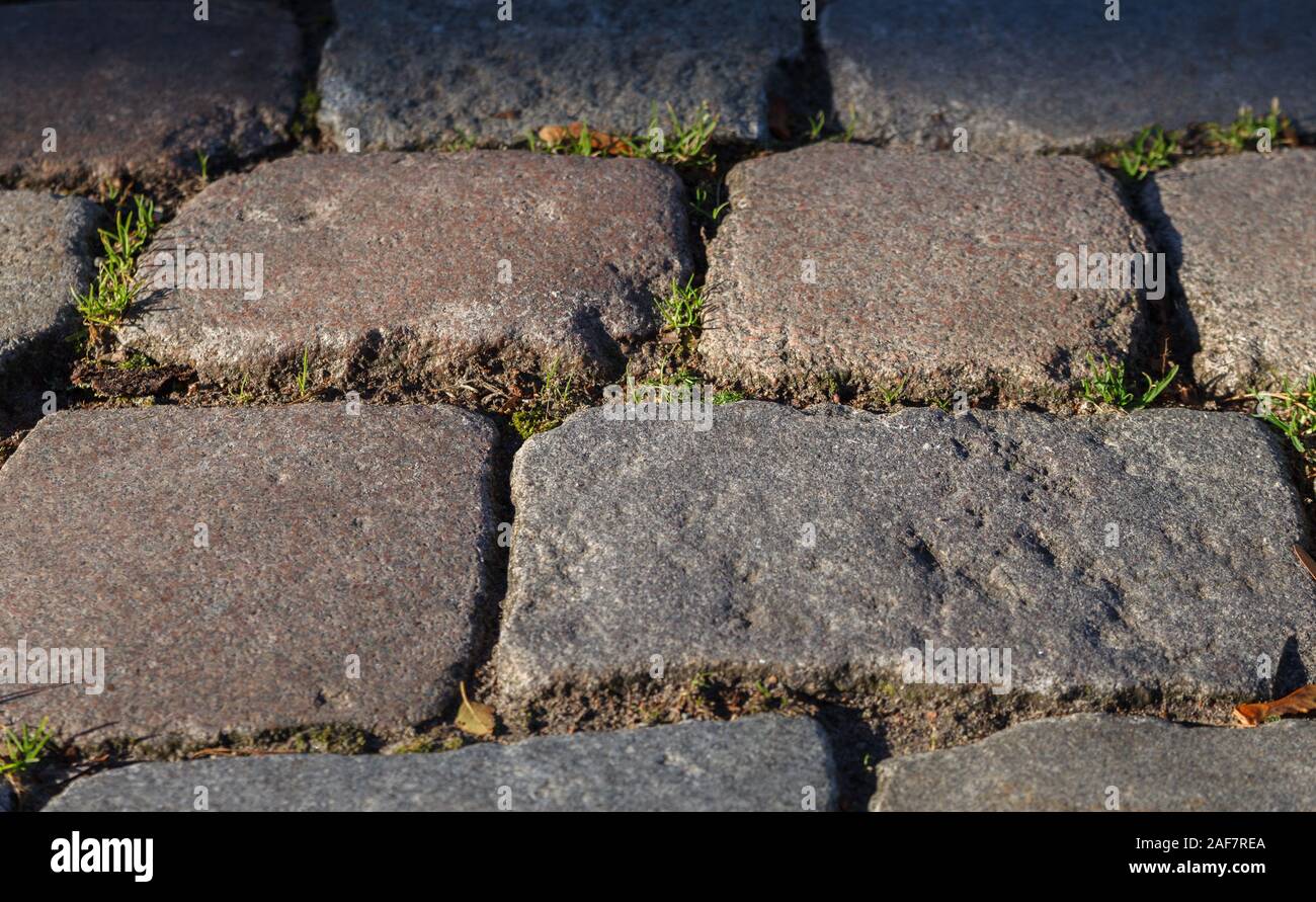 Stone walkway through yard hi-res stock photography and images - Alamy