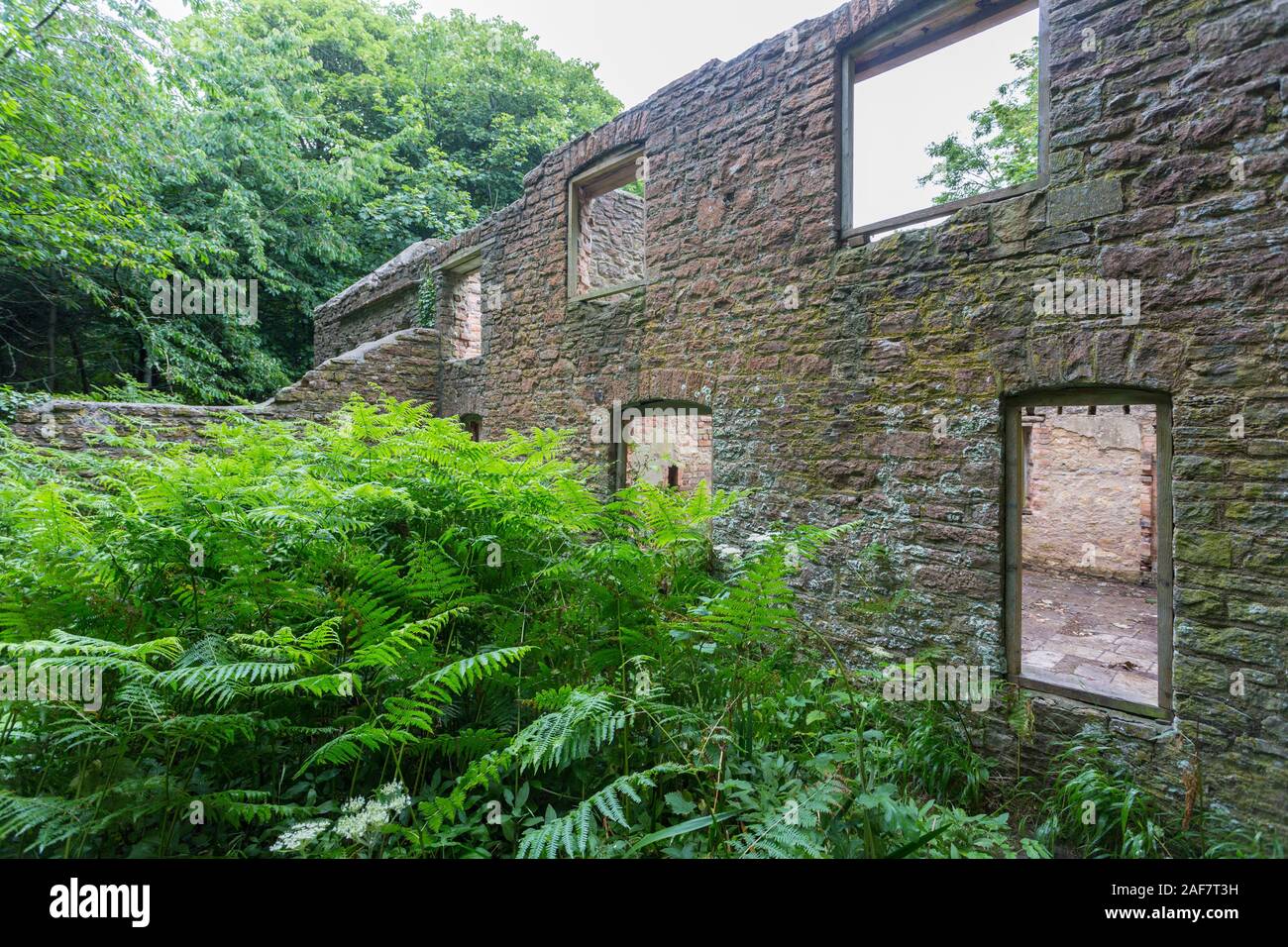 One of the ruined cottages, now roofless and slowly being reclaimed by ...