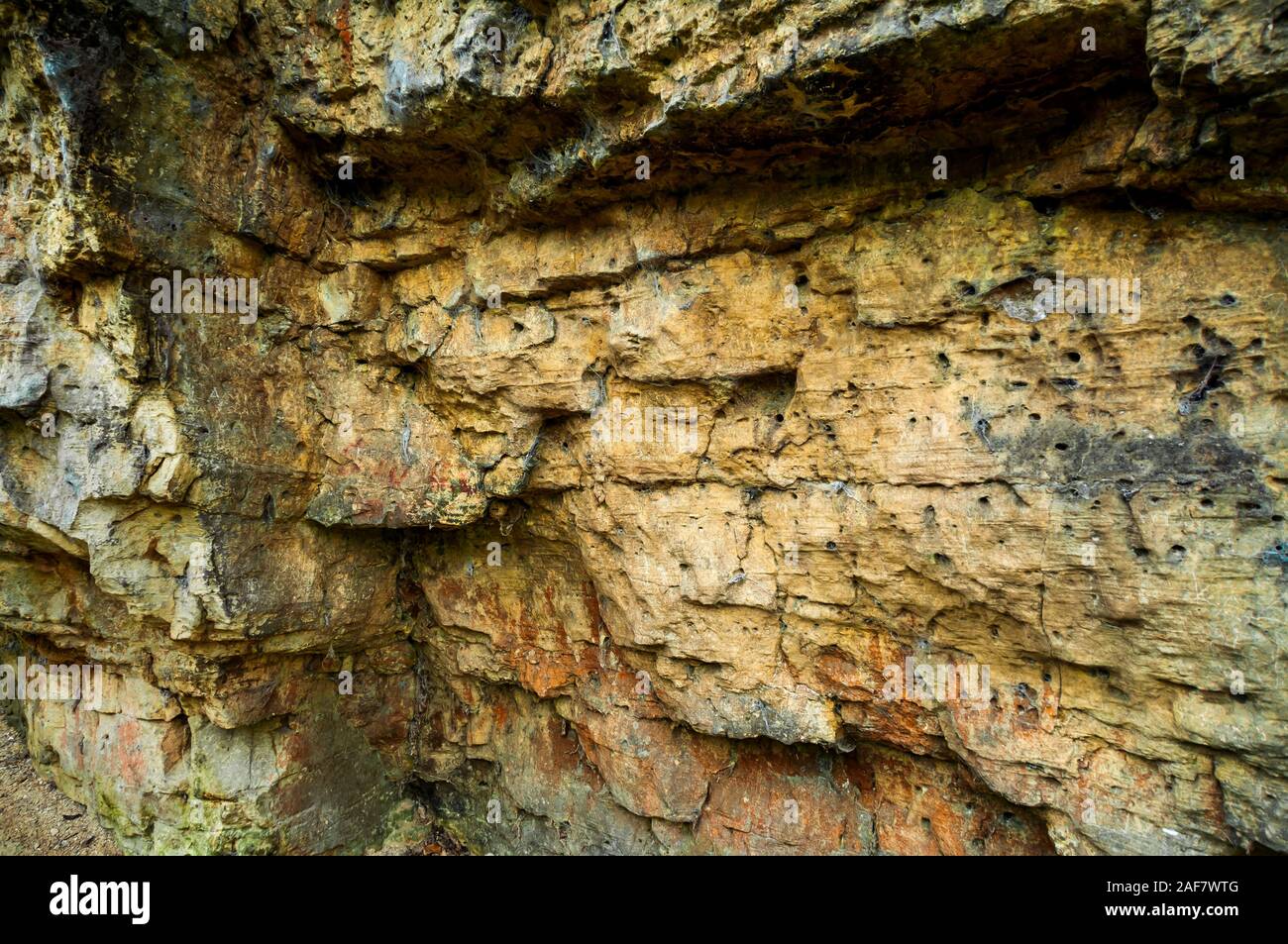 Rock wall at Creswell Crags, a Magnesian limestone gorge on the ...