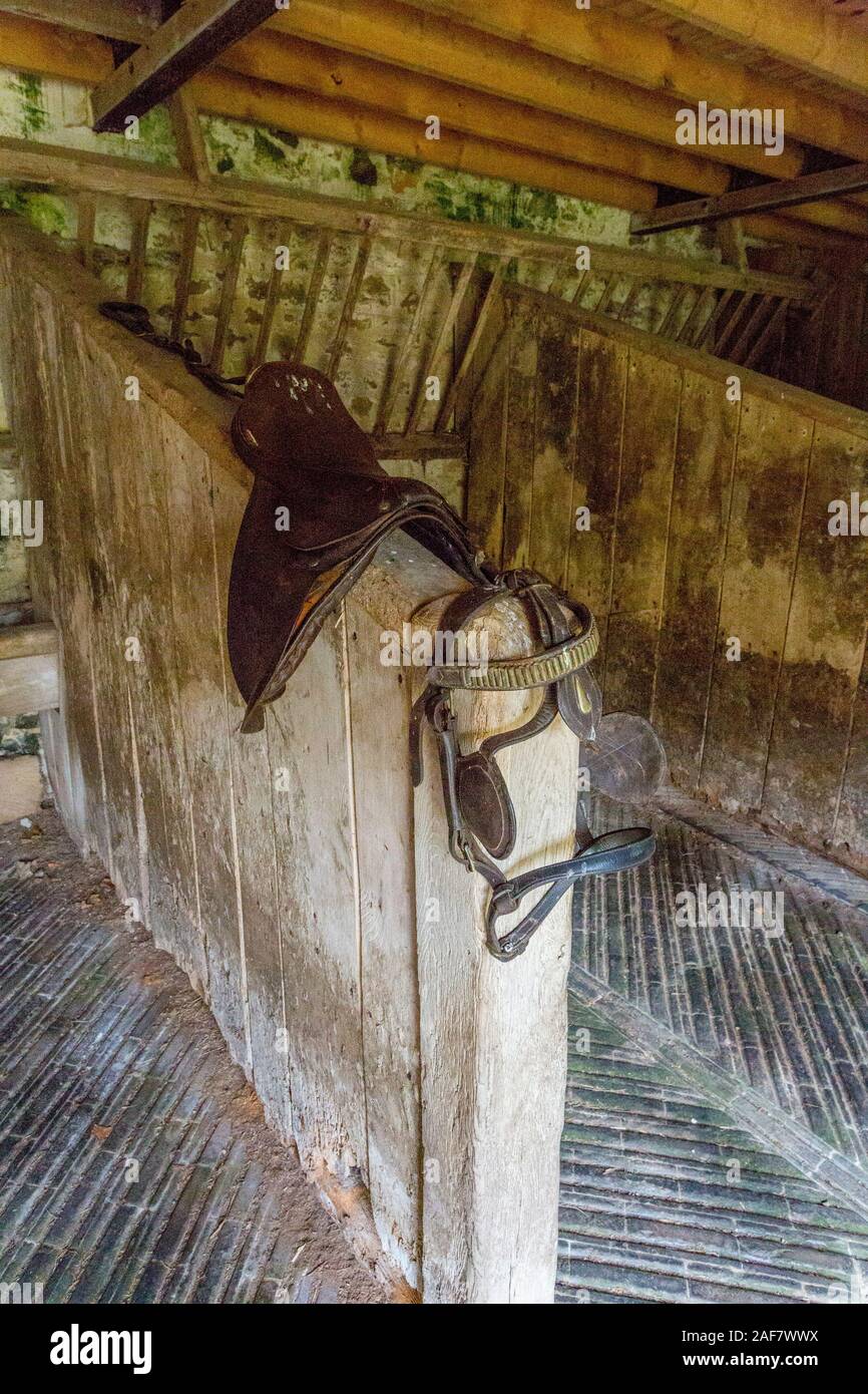 A vintage leather saddle and bridle in the old stables in the abandoned ...
