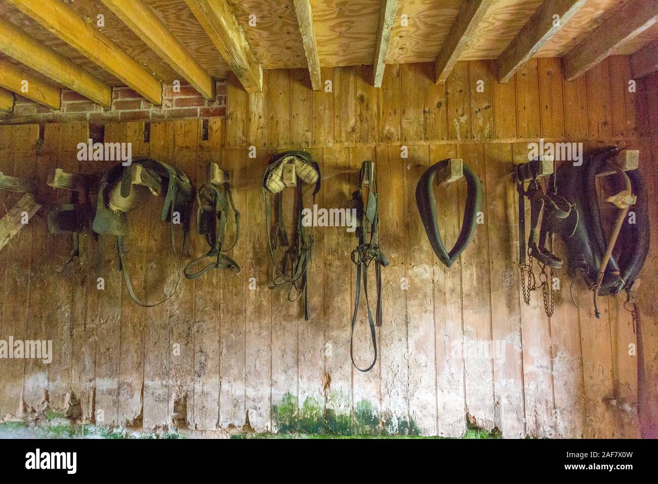 Assorted vintage leather saddles and tack in the old stables in the ...