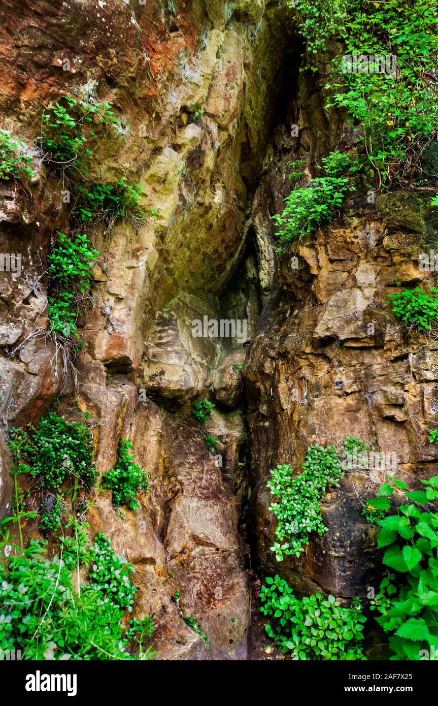 Vertical fissure at Creswell Crags, a Magnesian limestone gorge on the ...