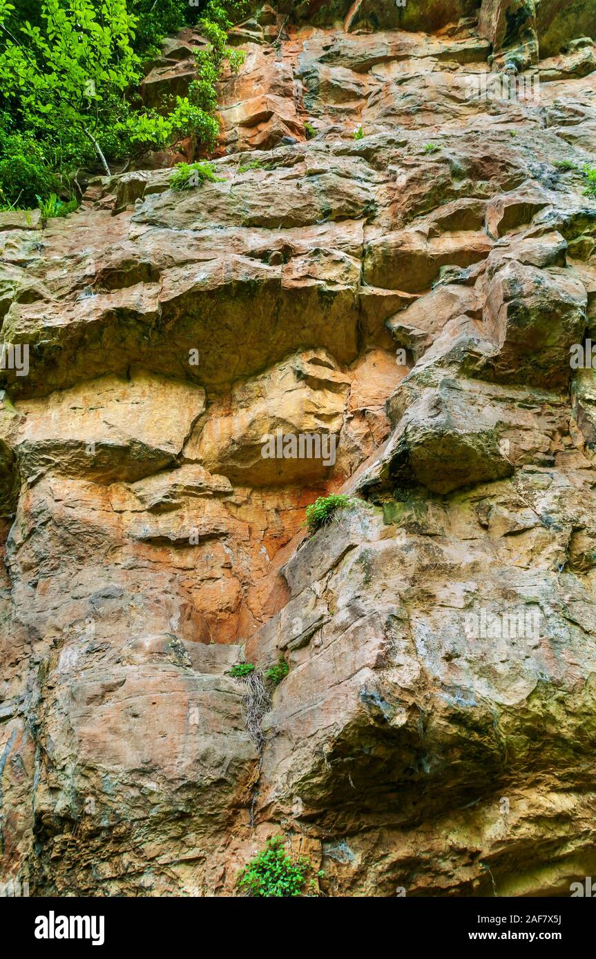 Upward view of a limestone face at Creswell Crags, a Magnesian ...