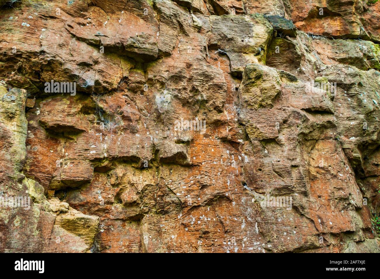 Limestone face at Creswell Crags, a Magnesian limestone gorge on the ...
