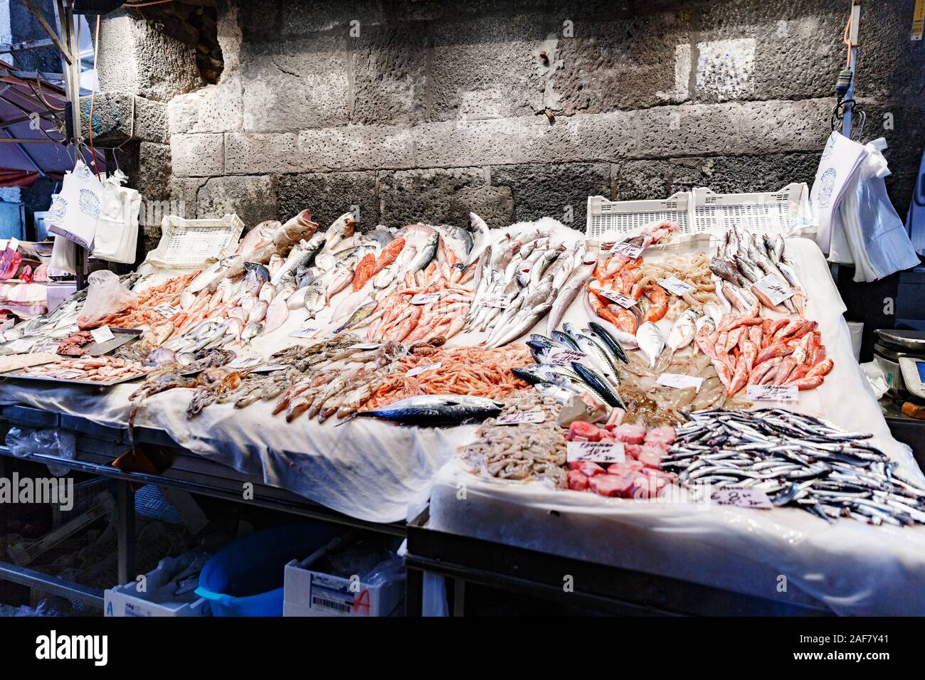 Market counter in Mediterranean. Fresh fish and various shrimp in ...