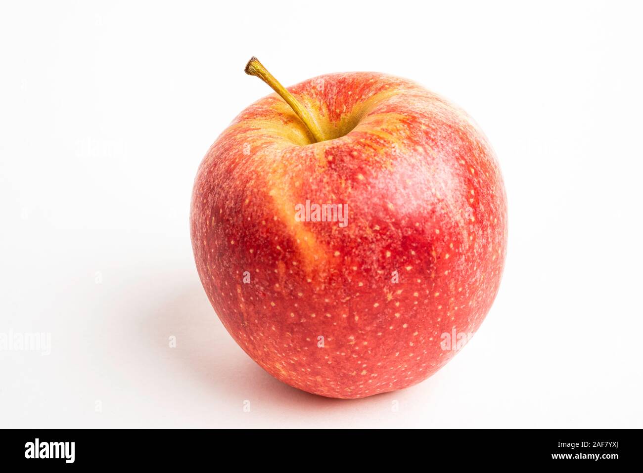One fresh red apple isolated on a plain white background Stock Photo ...