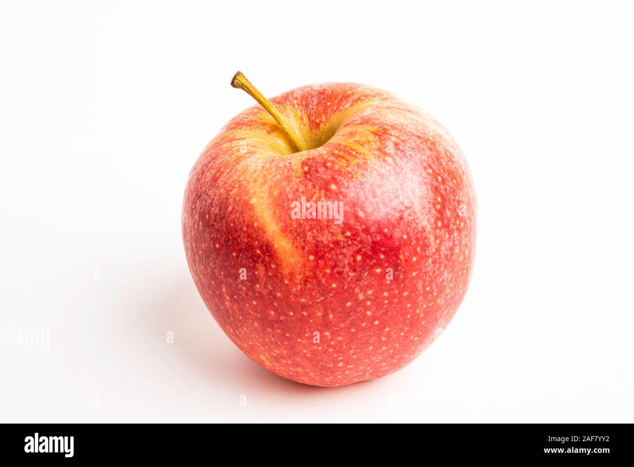 One fresh red apple isolated on a plain white background Stock Photo ...