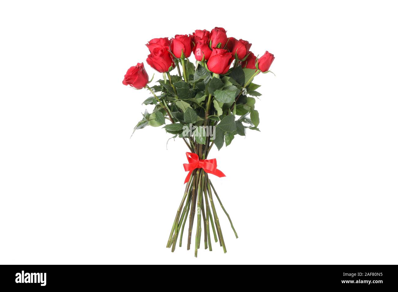 Bouquet of red rose with bow isolated on white background Stock Photo ...