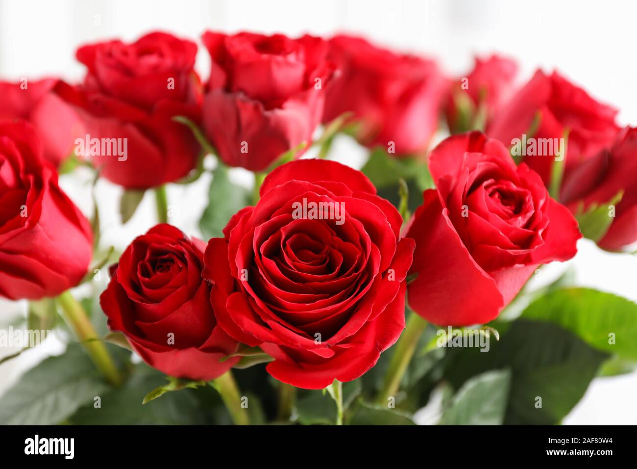 Bouquet of red roses, close up. Blurred background at the back Stock ...