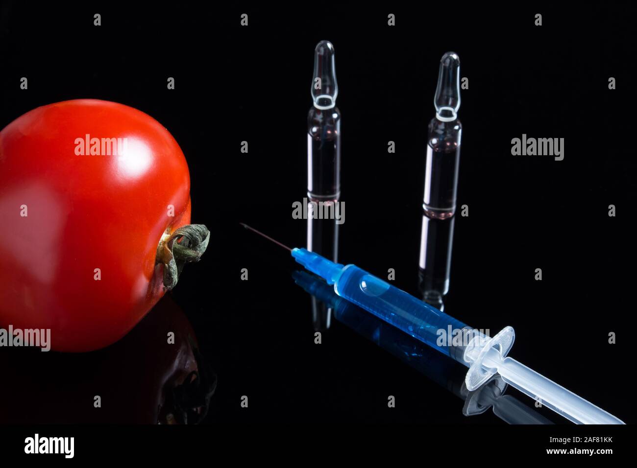 Testing GMO plant in laboratory on tomato - biotechnology and GMO ...