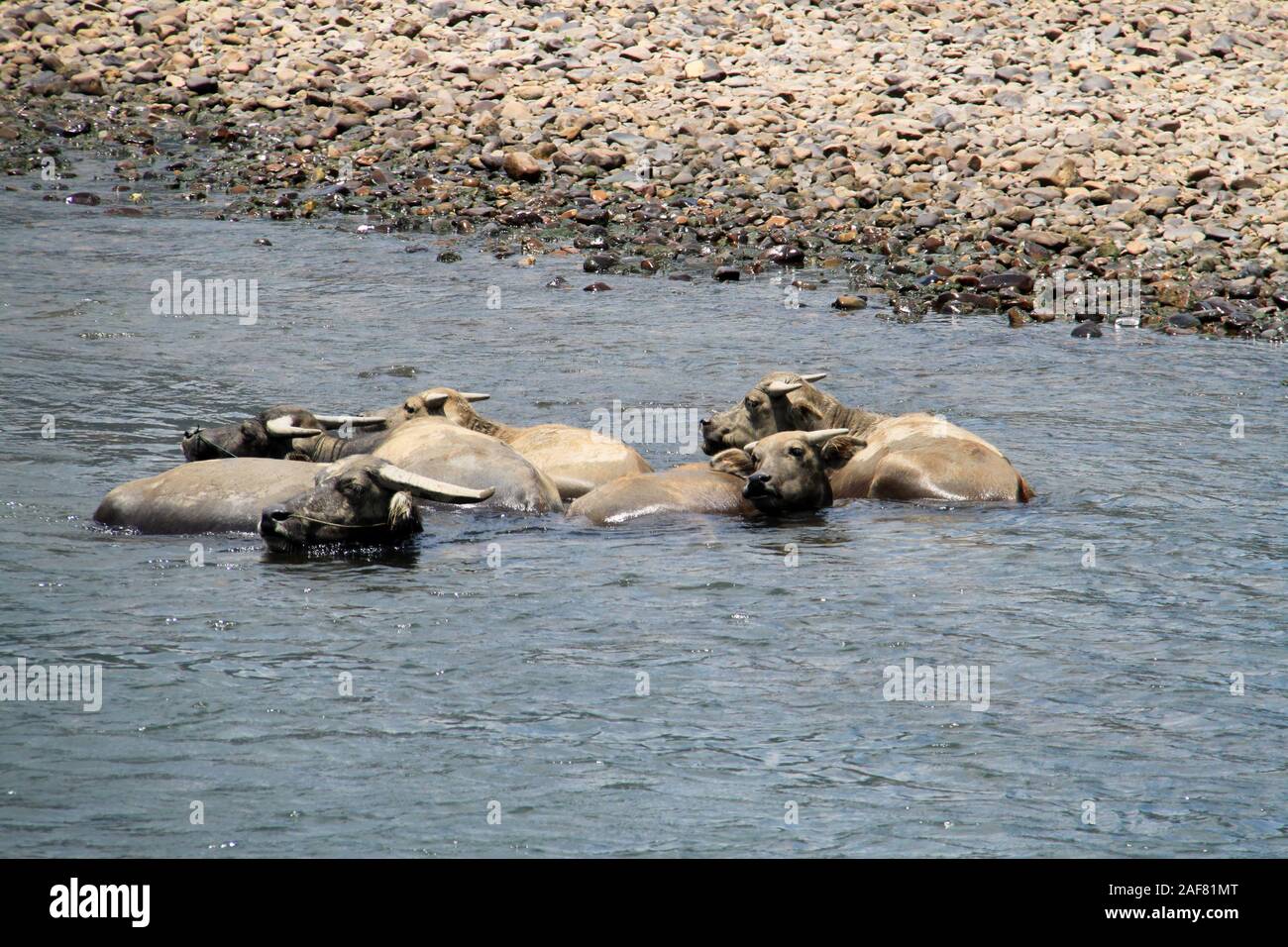Guilin li river national park hi-res stock photography and images - Alamy