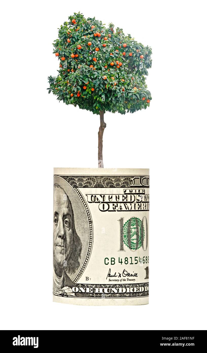 orange tree growing from euro bill Stock Photo - Alamy