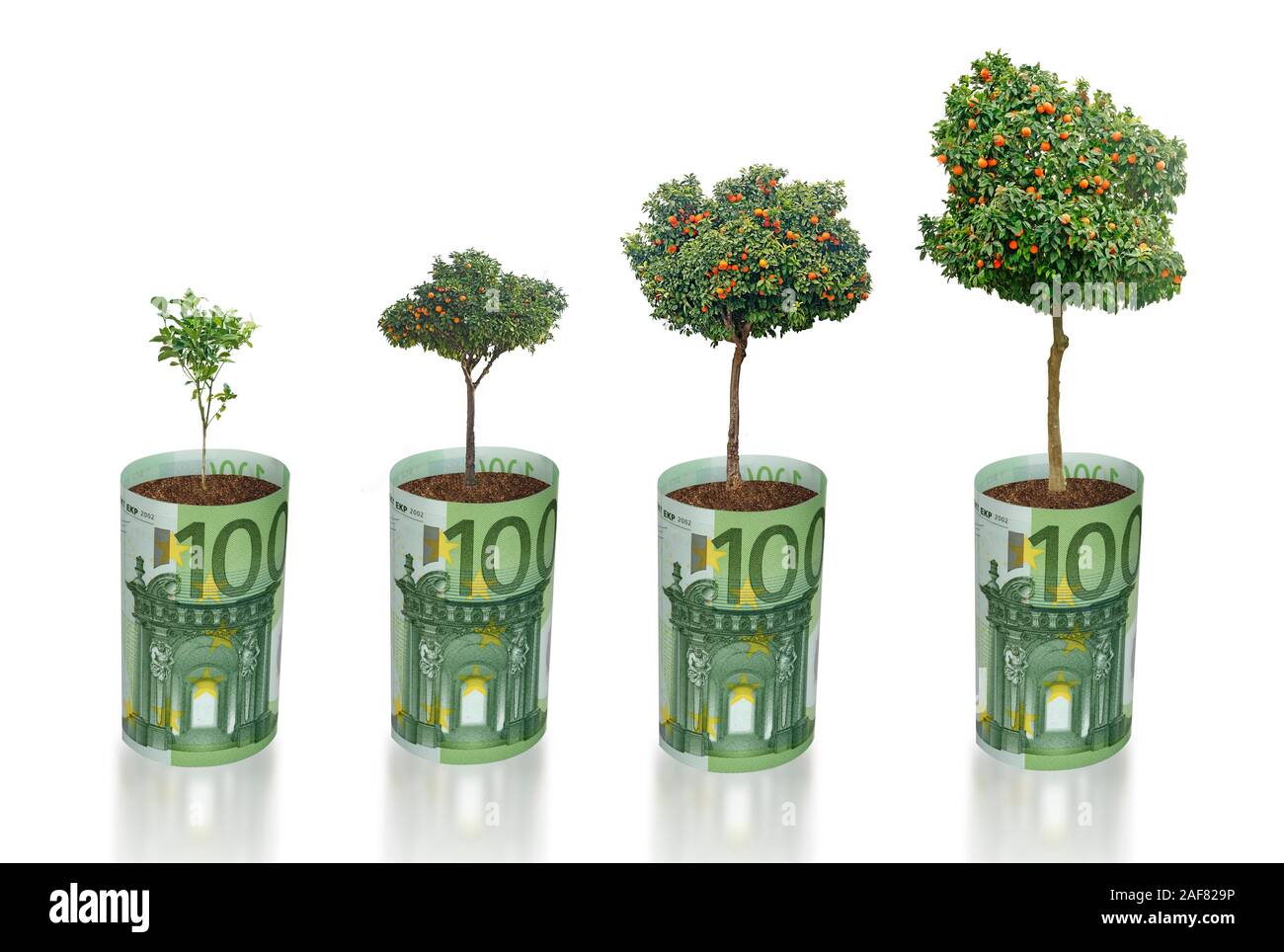 Citrus trees growing from euro bill Stock Photo - Alamy