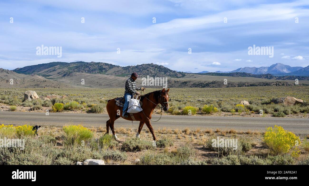 Collecting the horse hi-res stock photography and images - Alamy