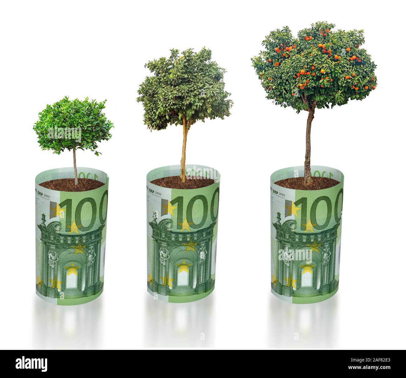 Tangerine trees Cut Out Stock Images & Pictures - Alamy