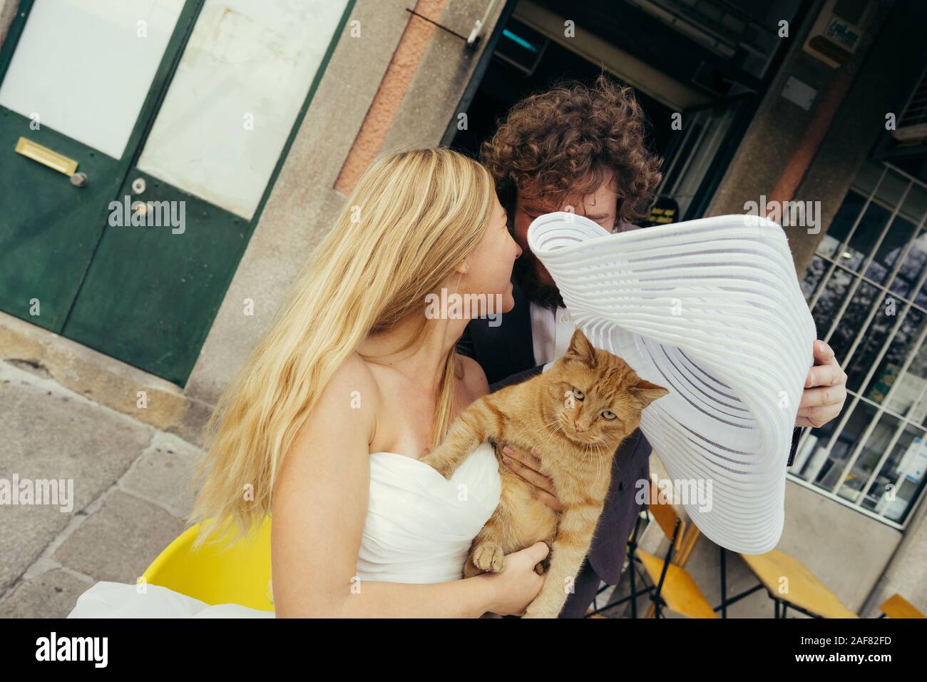 Cute couple cat hi-res stock photography and images - Alamy
