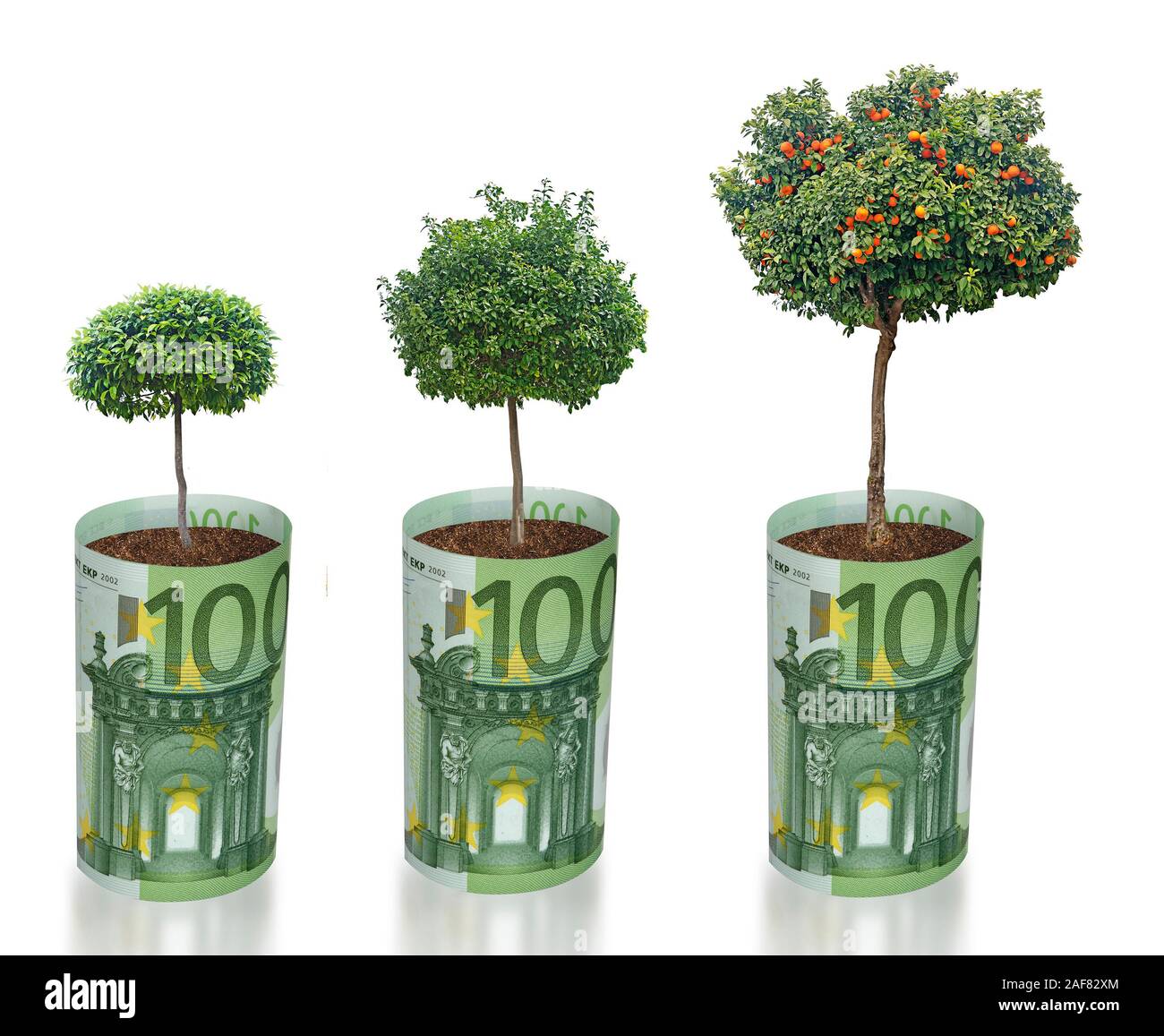 Citrus tree growing from euro bill Stock Photo - Alamy