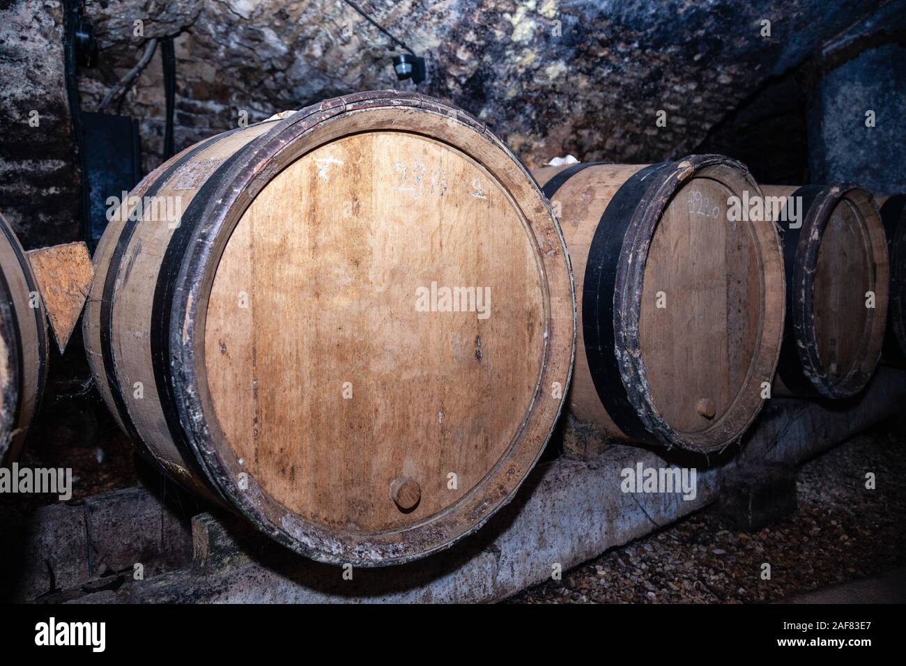 Wooden giant wine oak barrels stacked in rows. Aging, fermentation ...