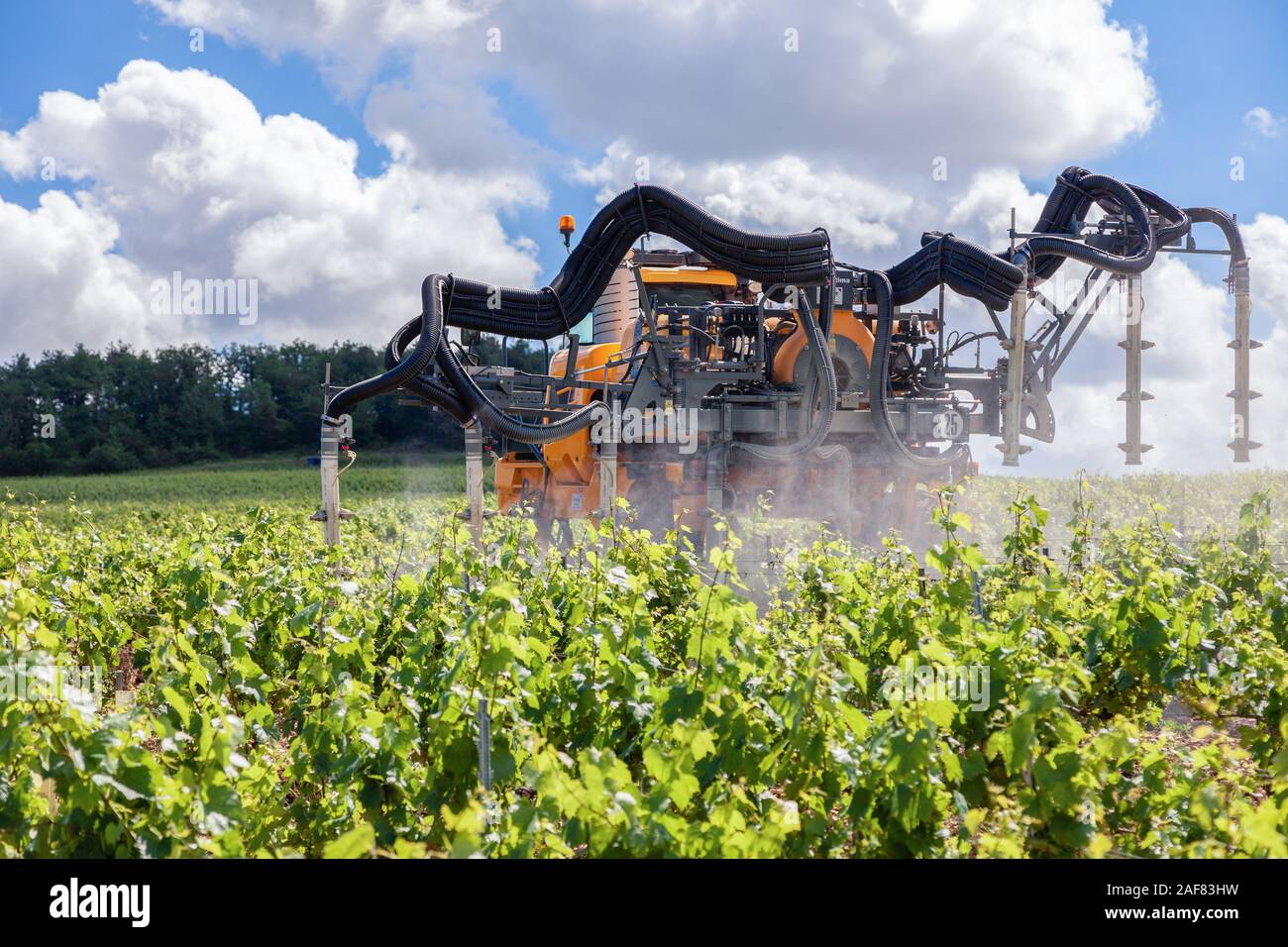 Vineyard crop spraying tractor hi-res stock photography and images - Alamy