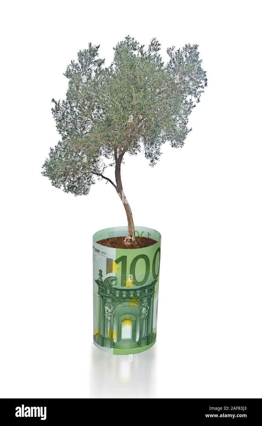 Olive tree growing from euro bill Stock Photo - Alamy