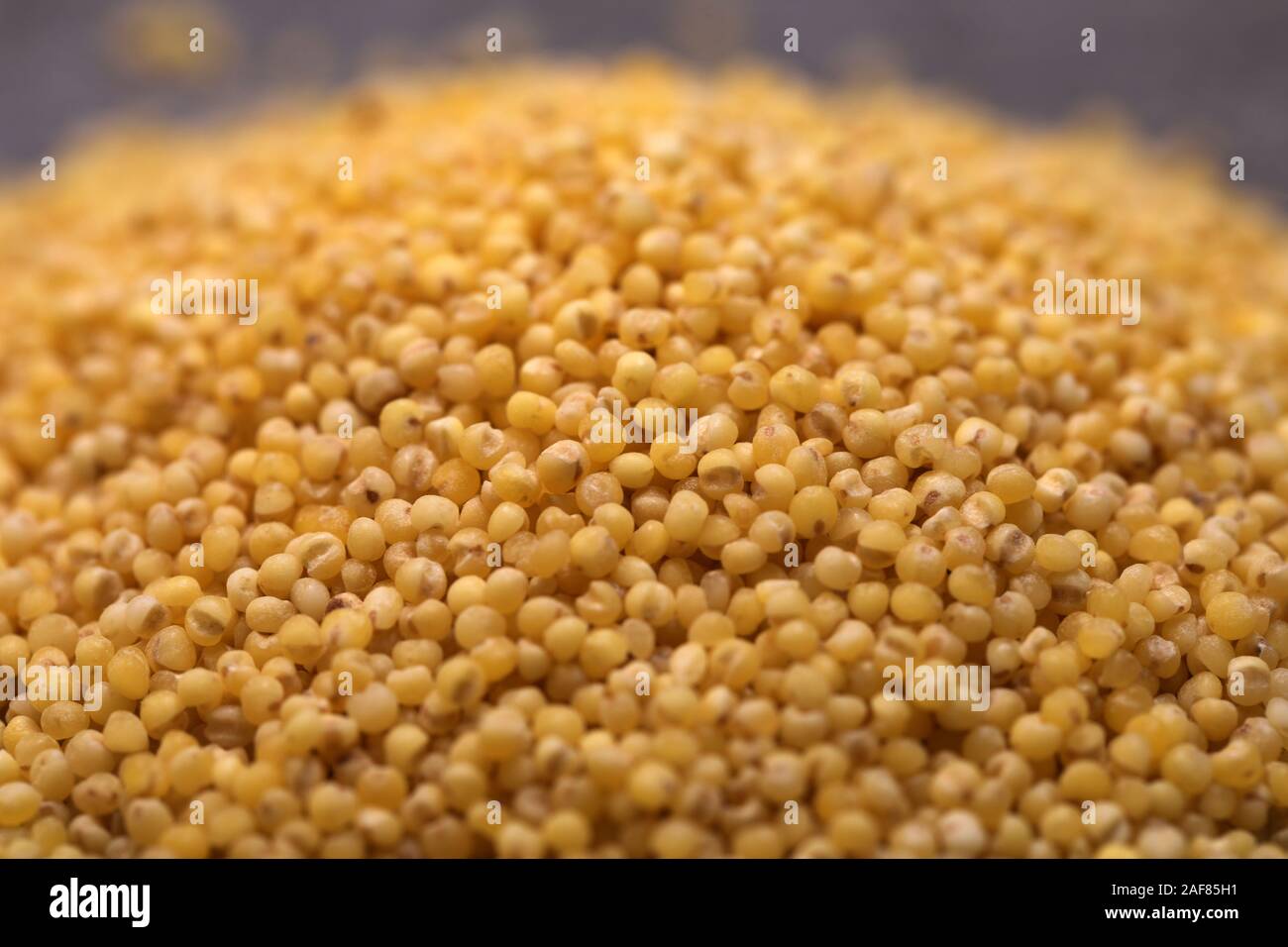 Millet food grains Stock Photo - Alamy